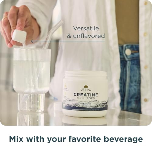 creatine gummies for convenient energy