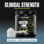 creatine gummies for convenient supplementation