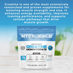 creatine gummies for convenient supplementation
