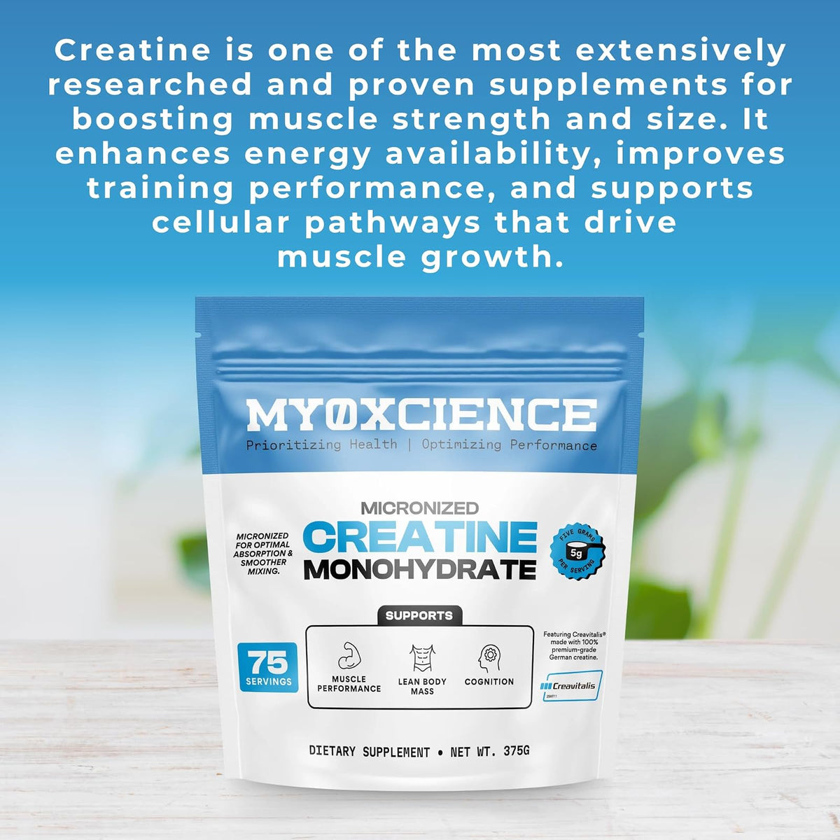 creatine gummies for convenient supplementation