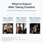 creatine gummies for easy intake