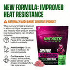 creatine gummies for muscle recovery
