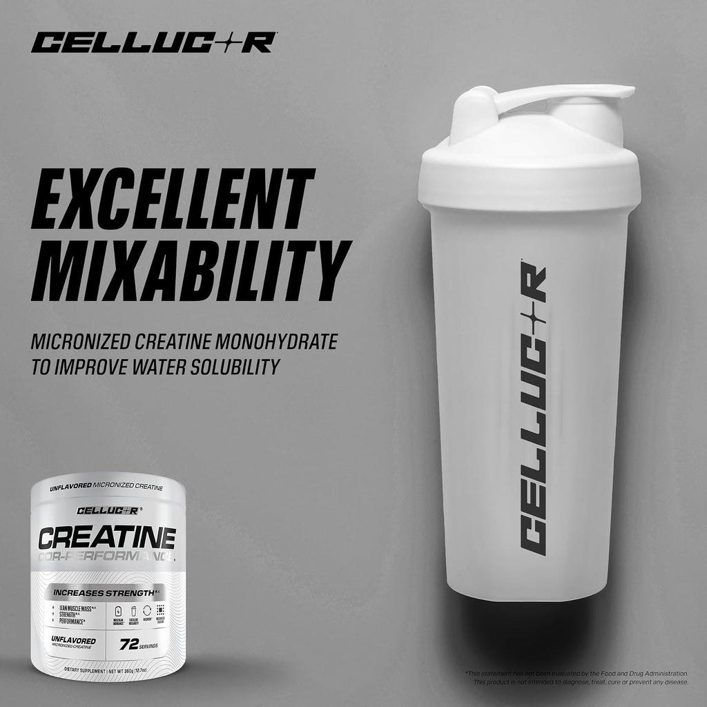 creatine monohydrate for endurance athletes