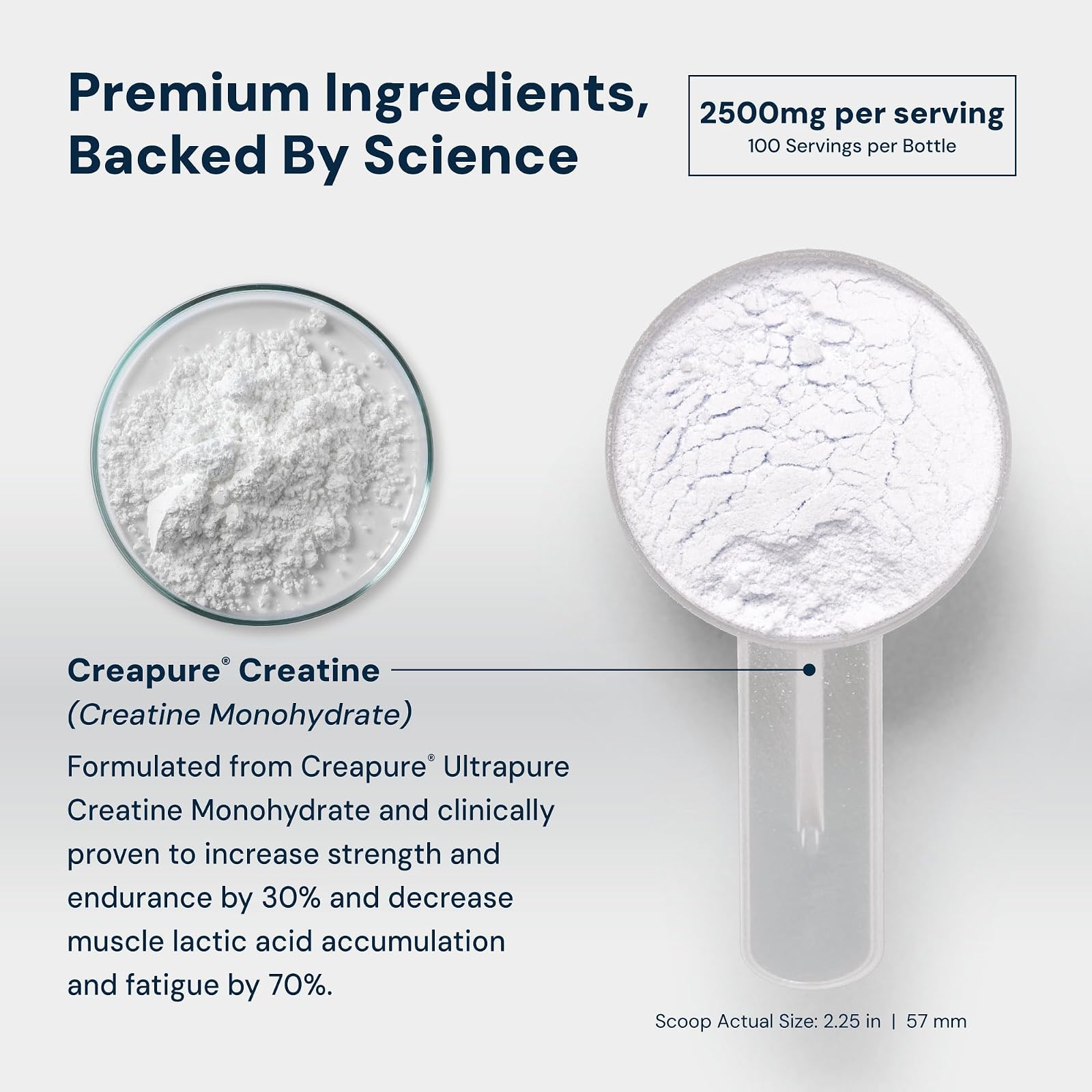 creatine monohydrate for enhanced performance