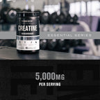 creatine monohydrate for enhanced performance