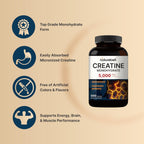 creatine monohydrate for enhanced performance