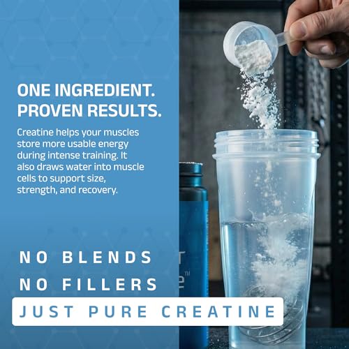Creatine monohydrate for faster recovery