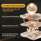 creatine monohydrate for muscle growth