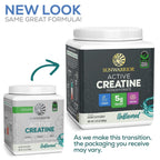 creatine monohydrate for recovery support