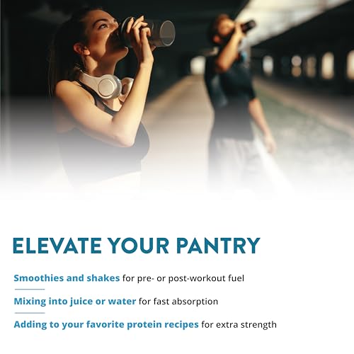 creatine monohydrate for strength training