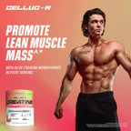 creatine monohydrate for strength training