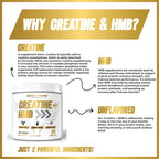 creatine monohydrate for strength training