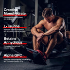 creatine monohydrate for workout performance