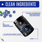 creatine monohydrate for workout performance
