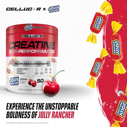 creatine monohydrate for workout recovery