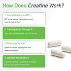 creatine monohydrate for workout recovery