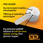 creatine monohydrate powder for athletes