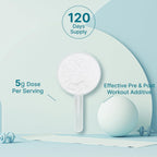 creatine monohydrate supports recovery