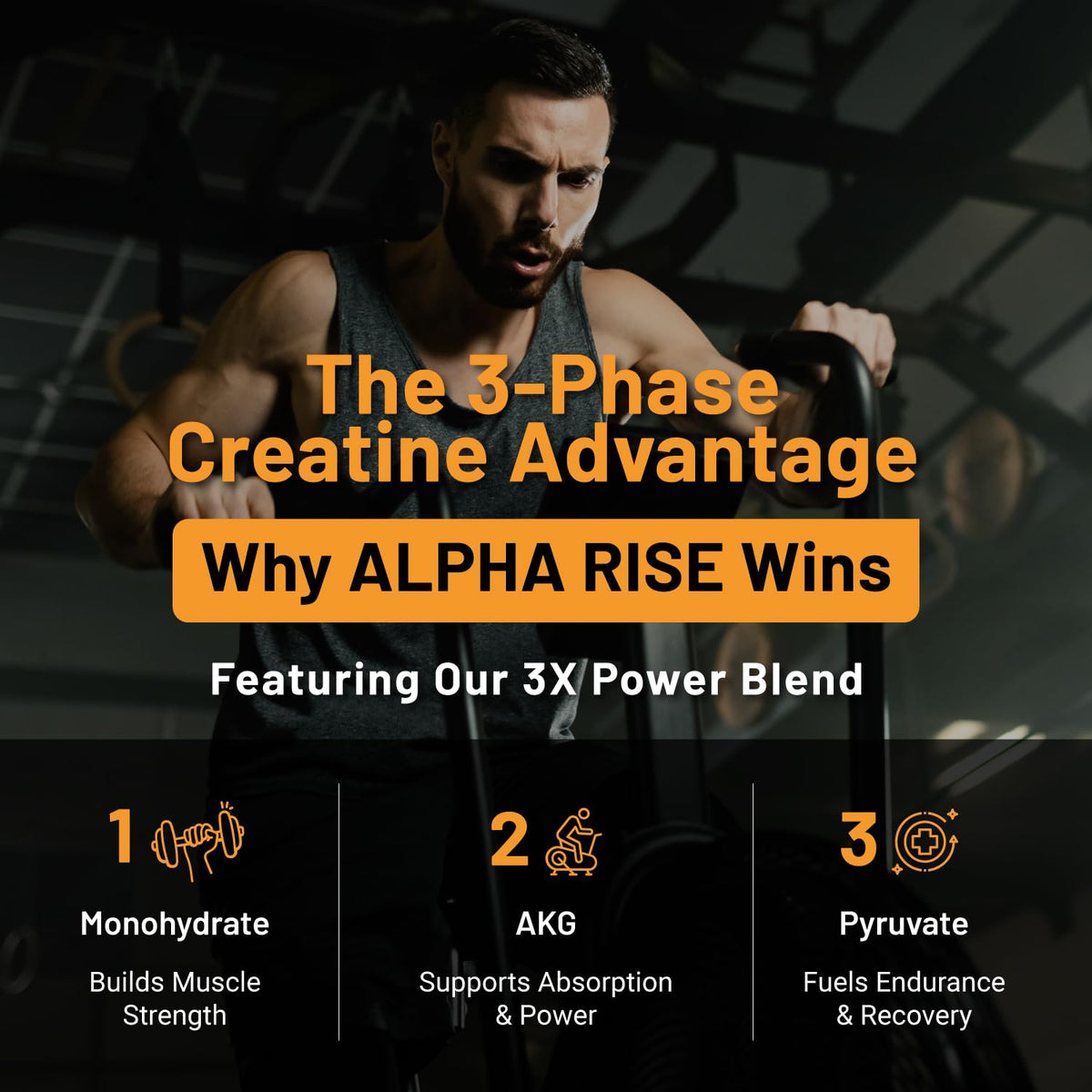 Creatine Monohydrate supports strength training