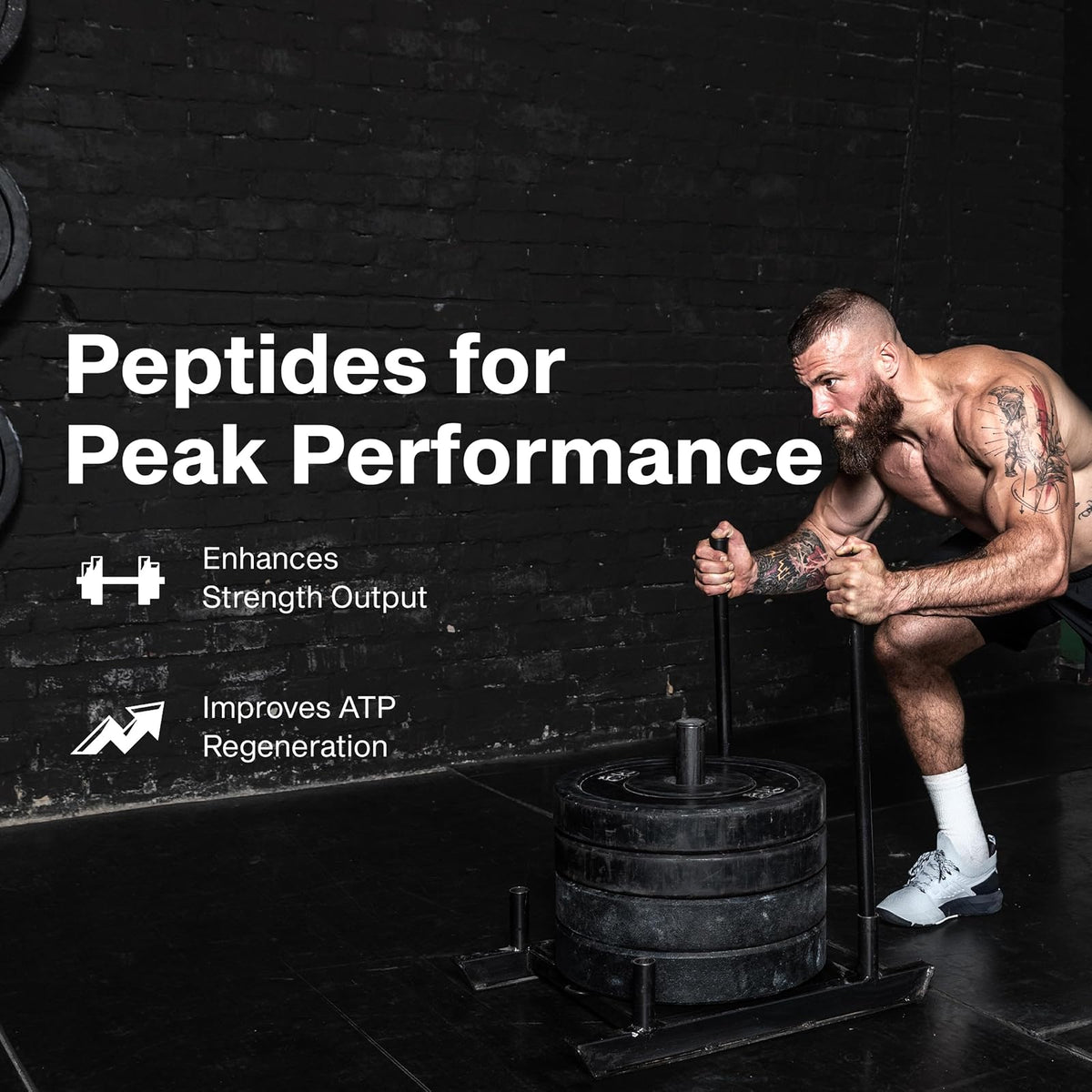creatine peptide powder for recovery