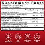 creatine powder for athletes and bodybuilders