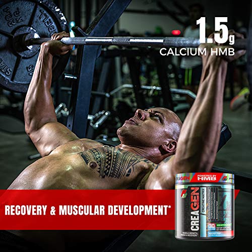 Creatine powder for daily supplementation