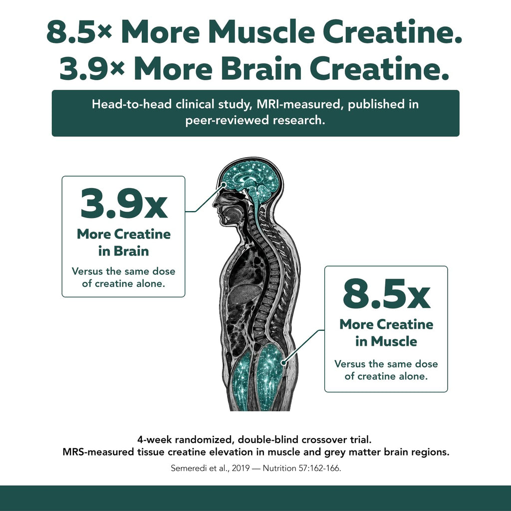 Creatine powder for energy boost