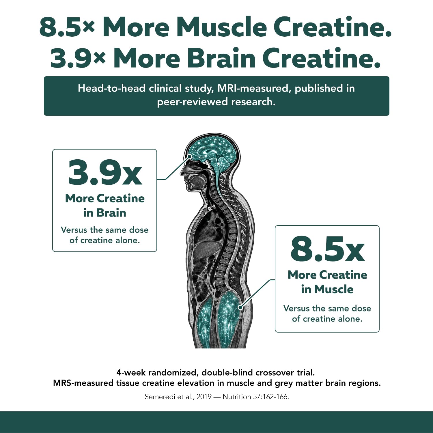 Creatine powder for energy boost