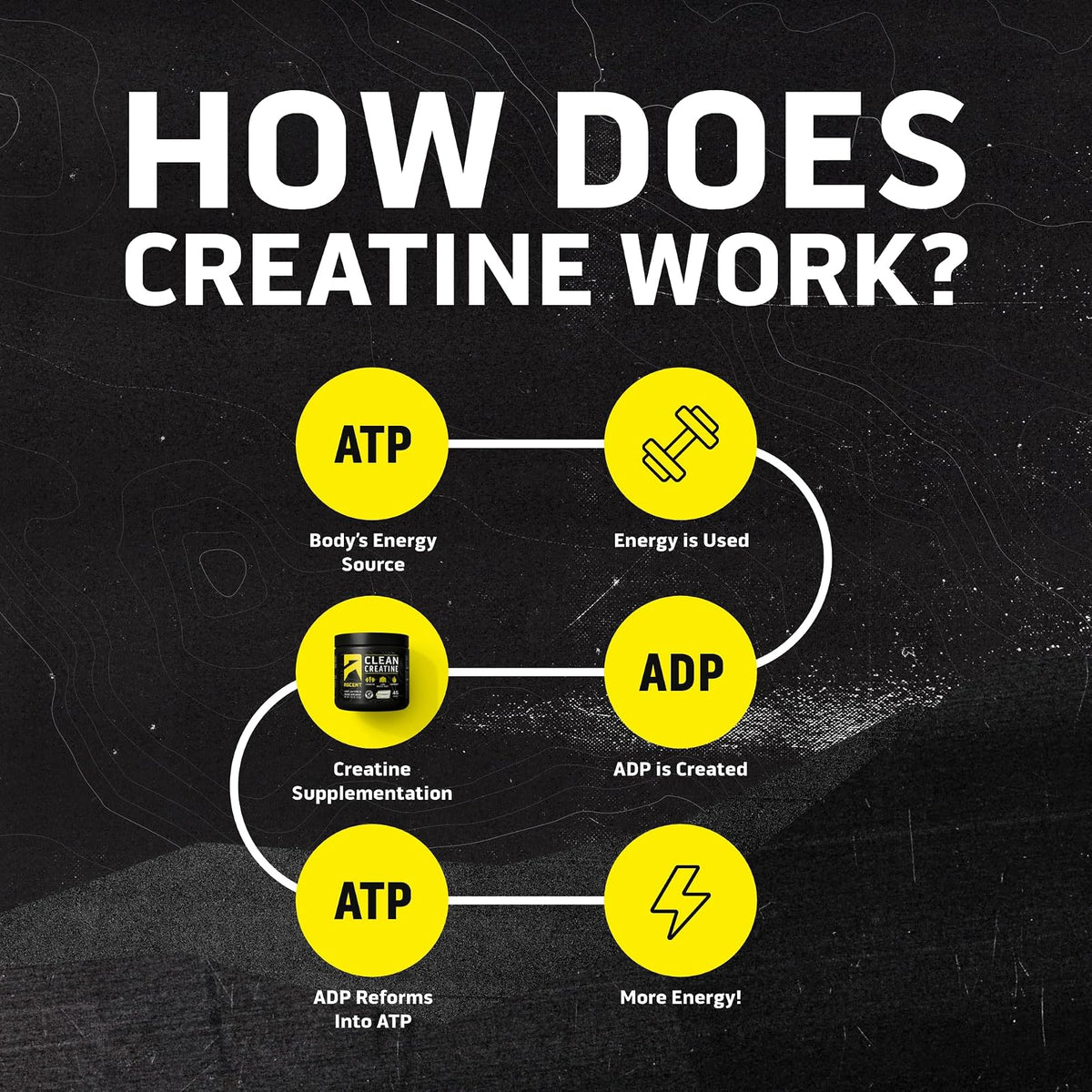 Creatine powder for enhanced performance