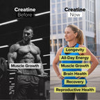 Creatine powder for enhanced performance