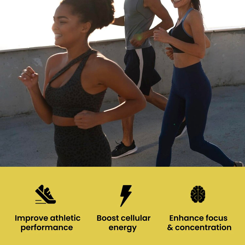 creatine powder for enhanced performance