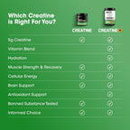 creatine powder for enhanced recovery