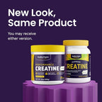 creatine powder for muscle recovery