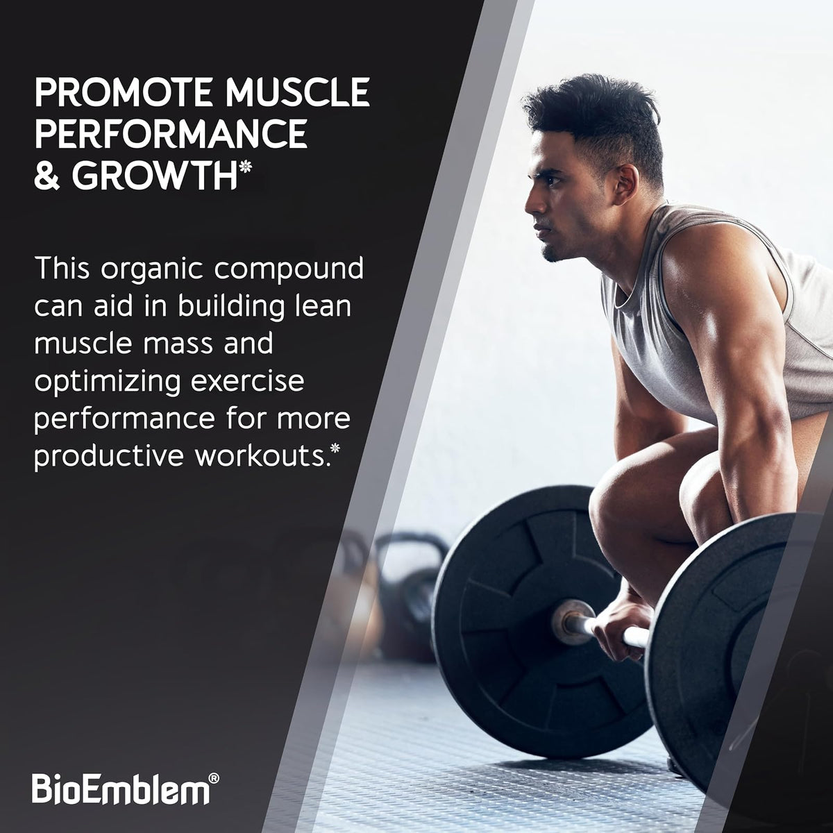 creatine powder for muscle recovery