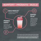 creatine powder for muscle recovery