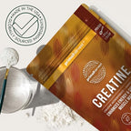 creatine powder for recovery support