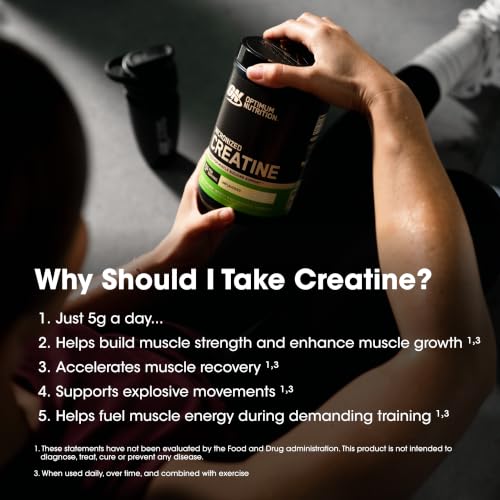 creatine powder for strength training