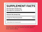 creatine powder for strength training