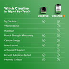 creatine powder for workout recovery