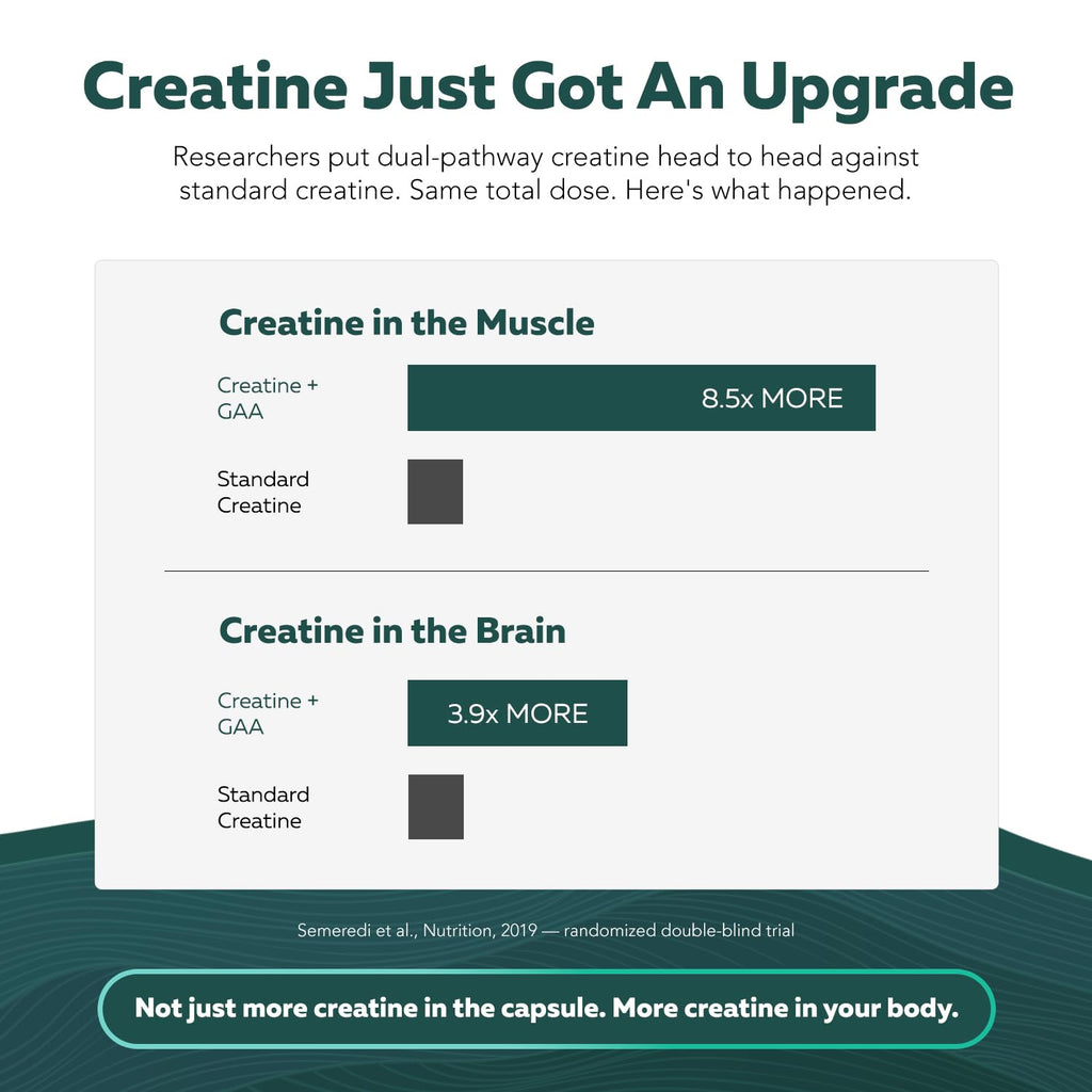 Creatine Reserve supports workout recovery