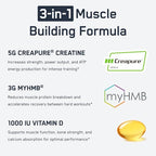 creatine supplement for athletes