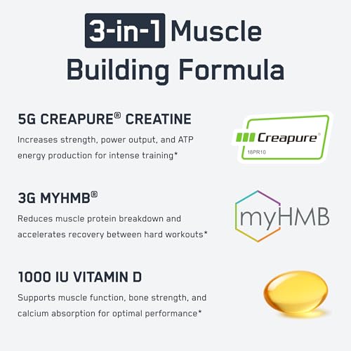 creatine supplement for athletes