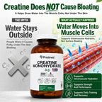 creatine supplement for athletes