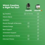 creatine supplement for athletes