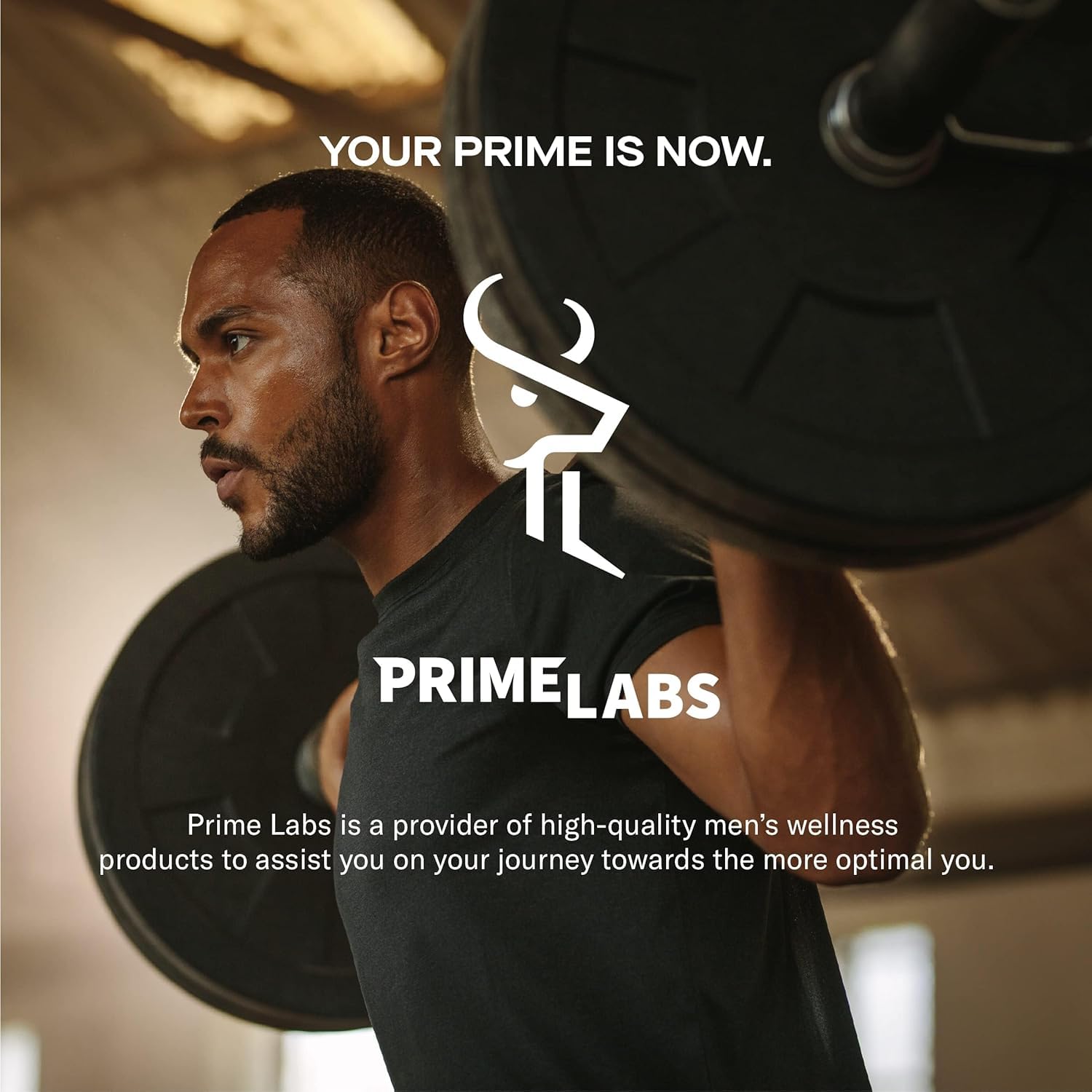 creatine supplement for better endurance