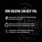 creatine supplement for endurance