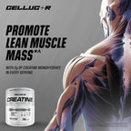 creatine supplement for energy boost