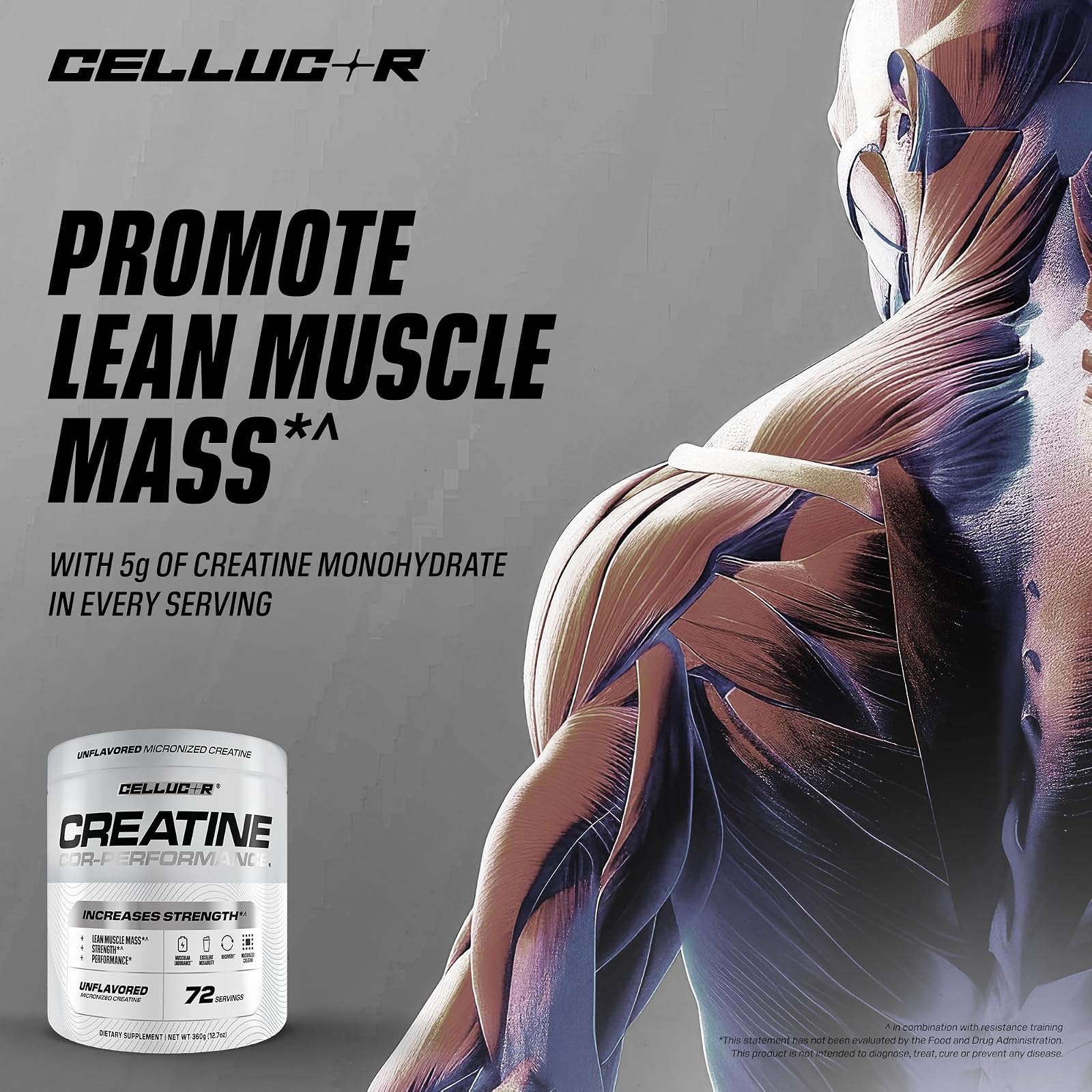 creatine supplement for energy boost