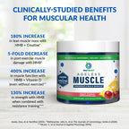 creatine supplement for improved performance