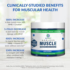 Creatine supplement for improved performance